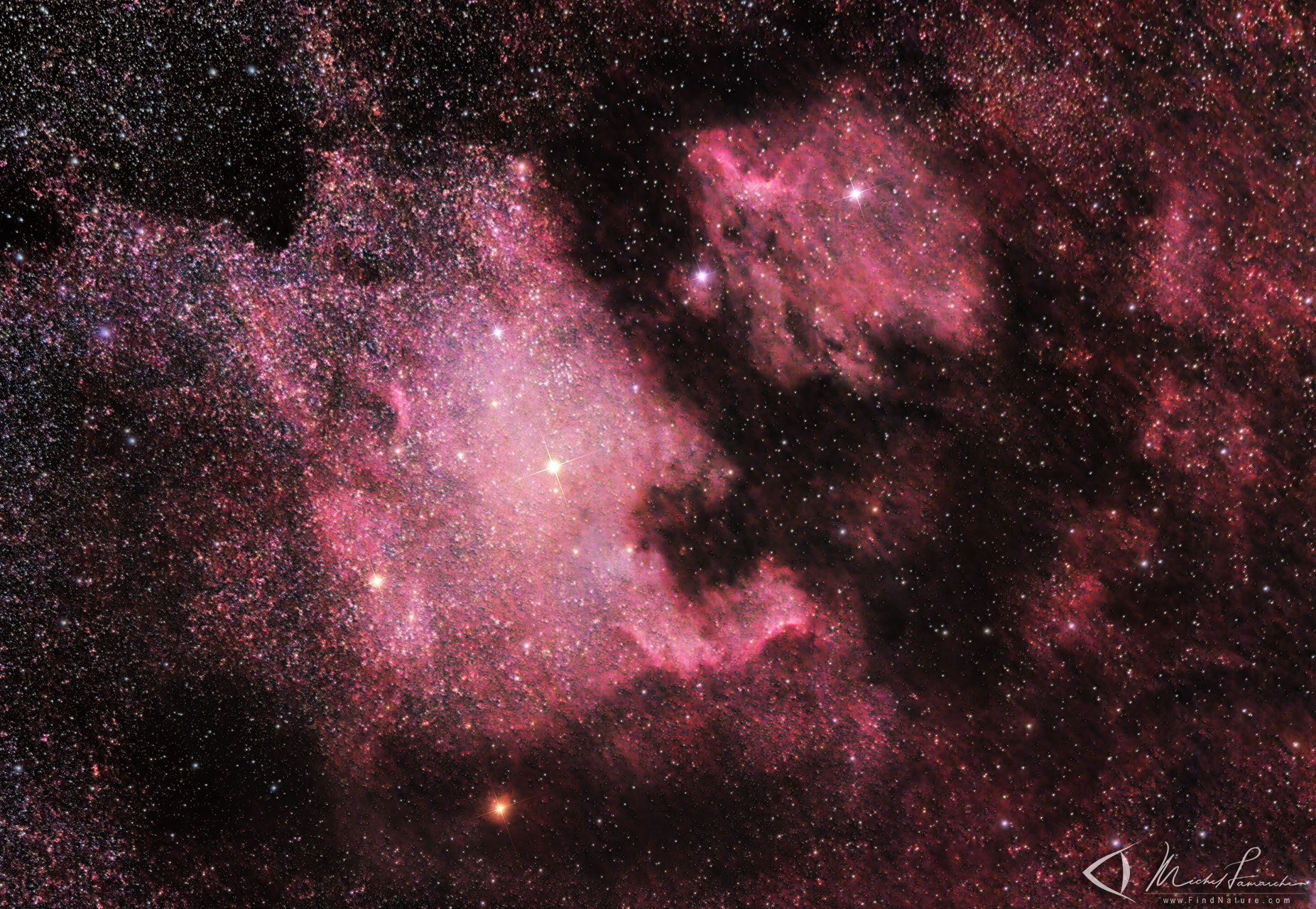 FindNature.com - Photos - NGC 7000 - La nébuleuse de l'Amérique du Nord ...
